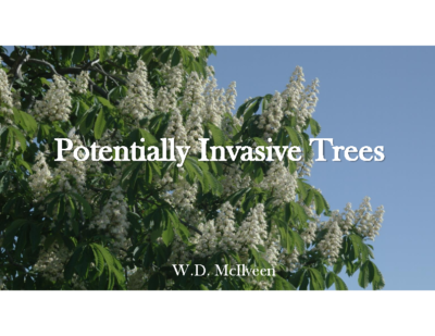 Conferences and Annual General Meetings - Ontario Invasive Plant Council