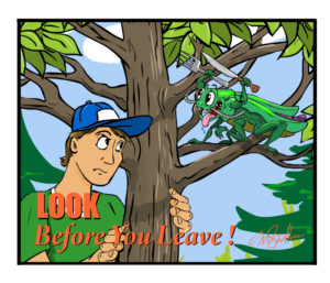 Look Before You Leave Campaign - Ontario Invasive Plant Council