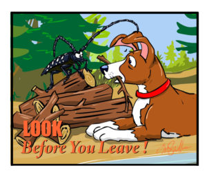 Look Before You Leave Campaign - Ontario Invasive Plant Council