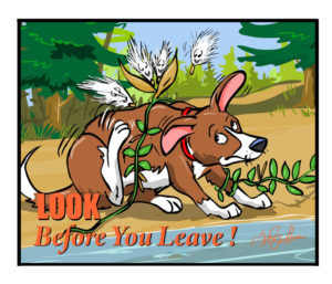 Look Before You Leave Campaign - Ontario Invasive Plant Council