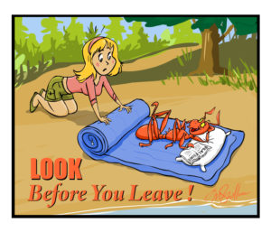 Look Before You Leave Campaign - Ontario Invasive Plant Council