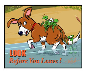 Look Before You Leave Campaign - Ontario Invasive Plant Council