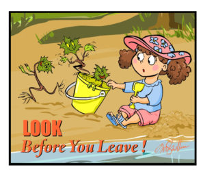 Look Before You Leave Campaign - Ontario Invasive Plant Council