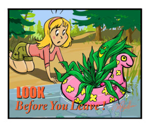 Look Before You Leave Campaign - Ontario Invasive Plant Council