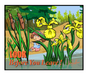 Look Before You Leave Campaign - Ontario Invasive Plant Council