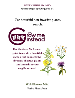 Grow Me Instead - Ontario Invasive Plant Council