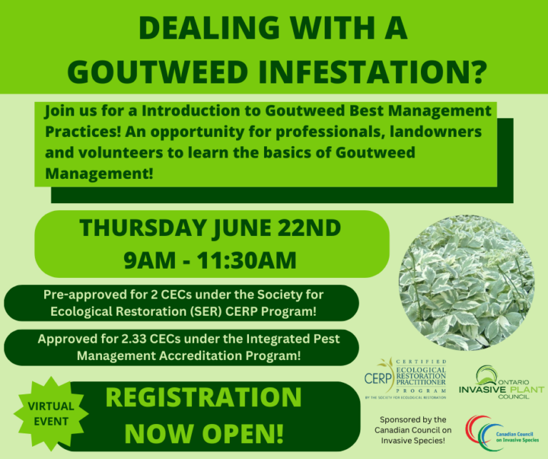 Introduction to Goutweed Best Management Practices - Ontario Invasive ...