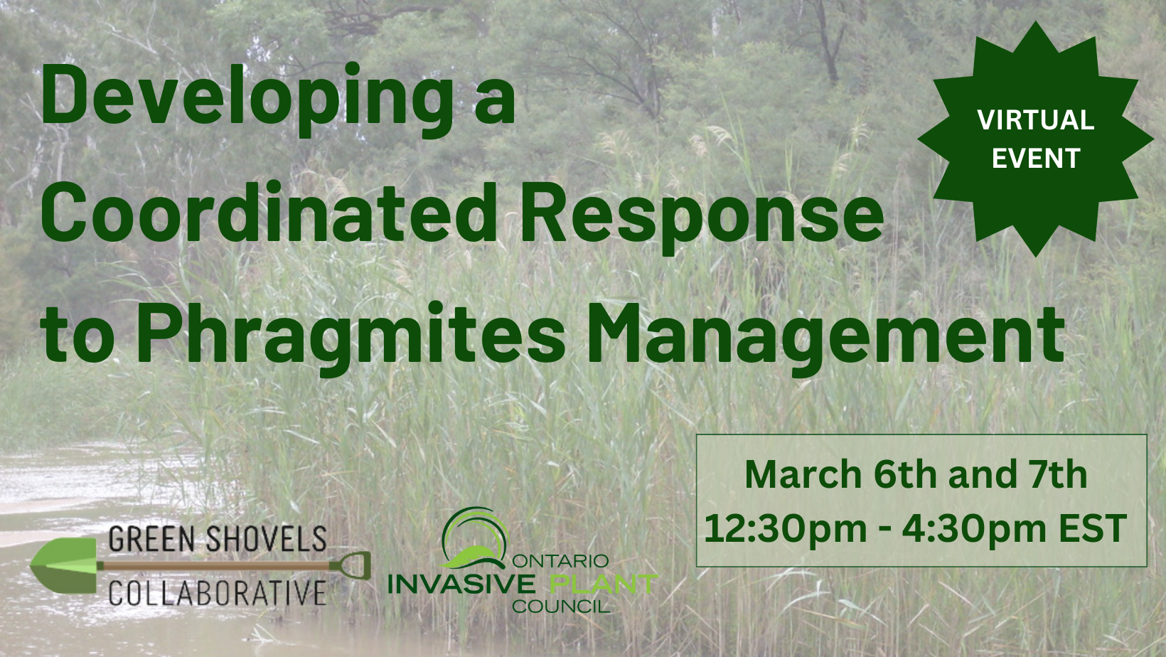 Developing a Coordinated Response to Phragmites Management - Ontario ...