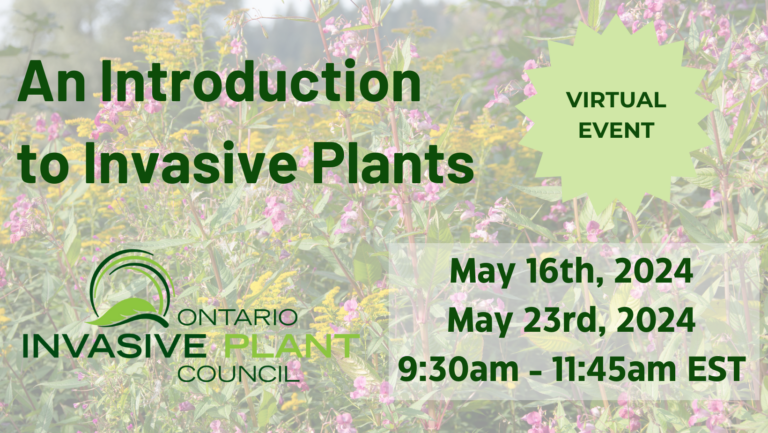 An Introduction to Invasive Plants - Ontario Invasive Plant Council