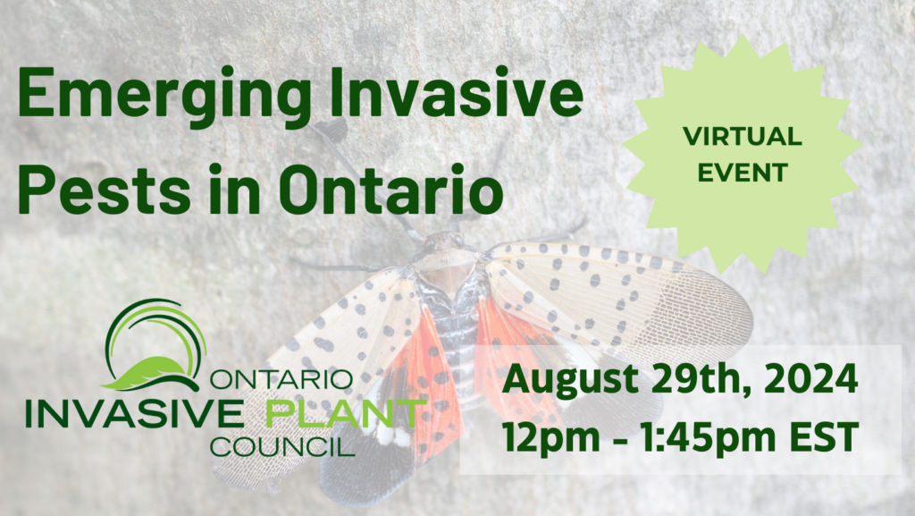 Emerging Invasive Pests in Ontario - Ontario Invasive Plant Council