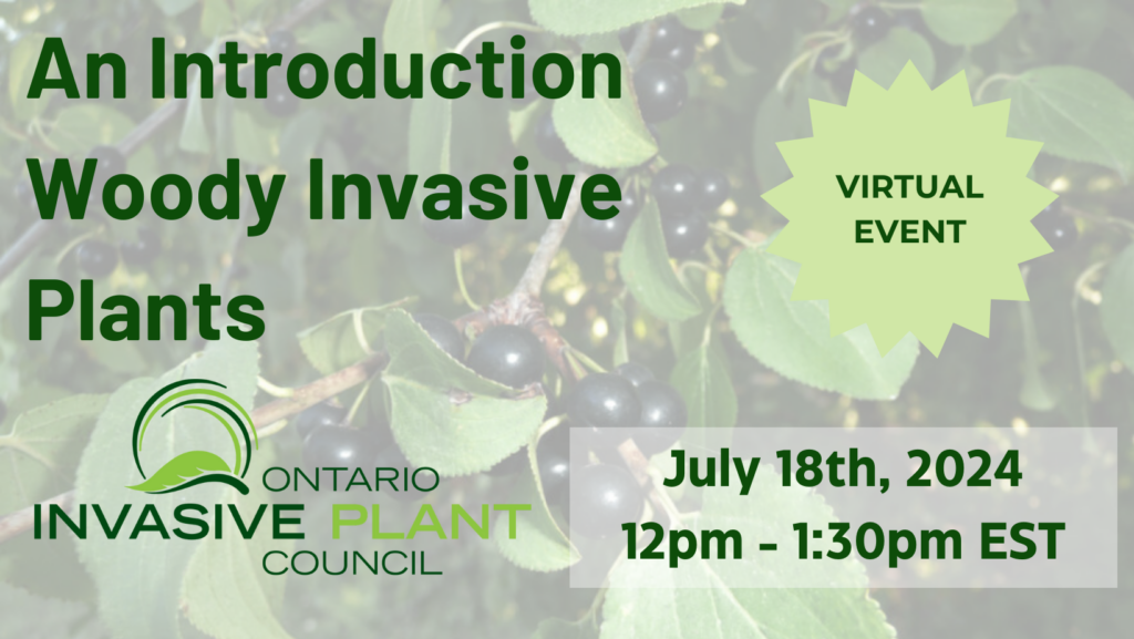 An Introduction to Woody Invasive Plants - Ontario Invasive Plant Council