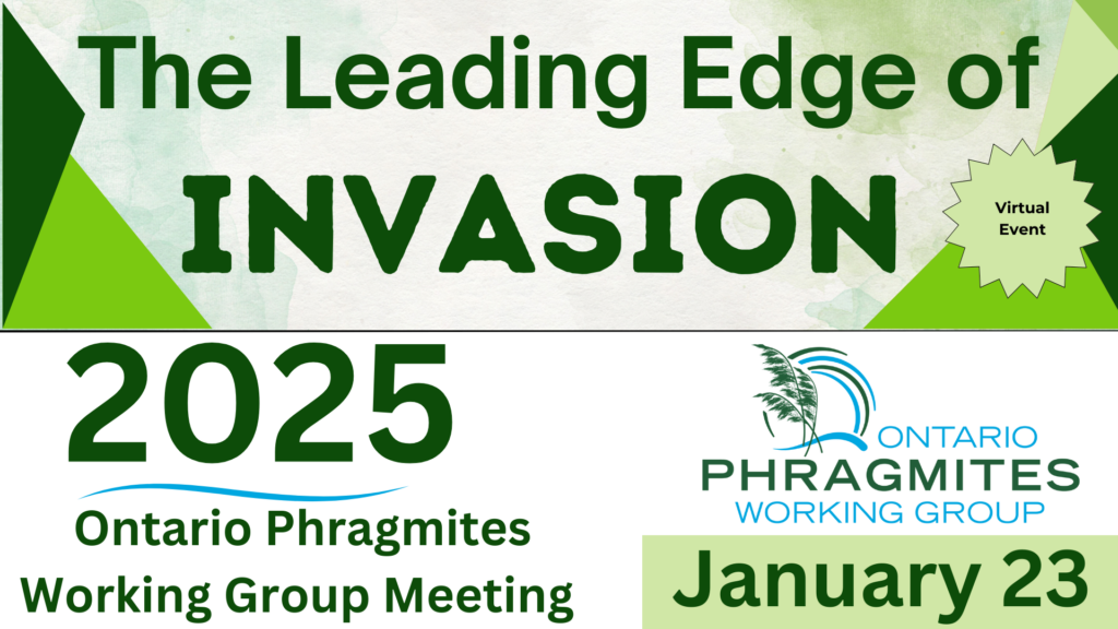 2025 Ontario Phragmites Working Group Meeting - Ontario Invasive Plant ...