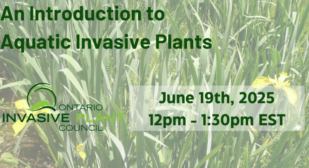Introduction to Aquatic Invasive Plants - Ontario Invasive Plant Council